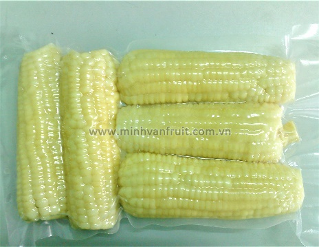 IQF Frozen White Corn – Vietnam Canned Fruit & Vegetable, IQF Frozen ...